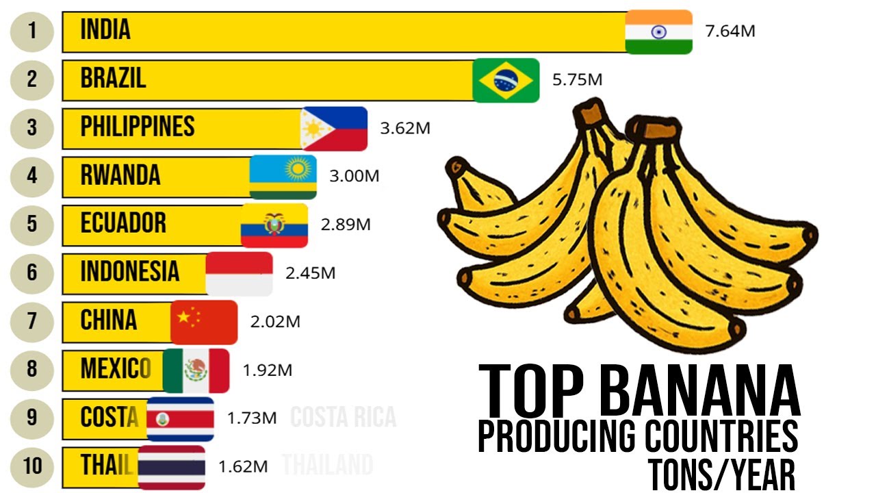 Top Banana Producing Countries (1961–2025) - YouTube