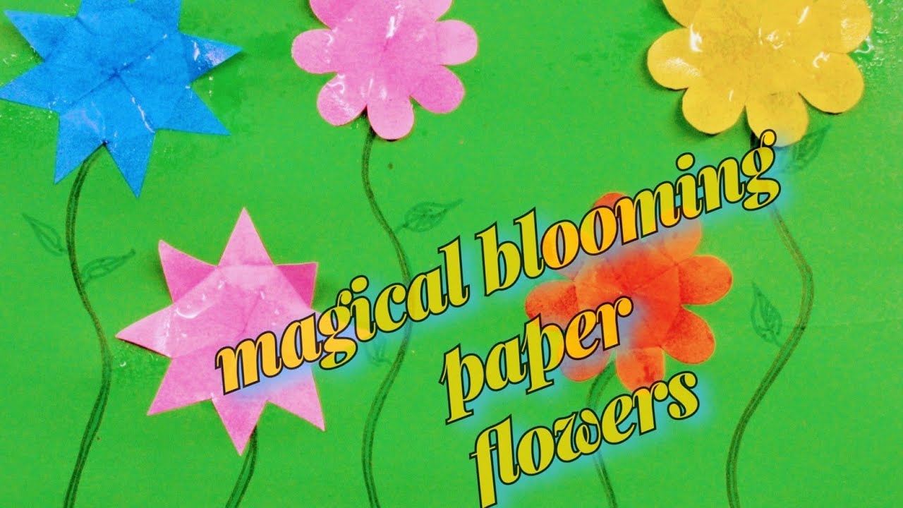 magical blooming paper flower activity for kids - YouTube