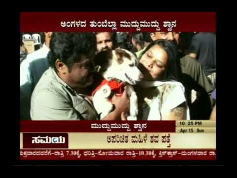 Samaya TV - The Great Indian Dog Show - YouTube