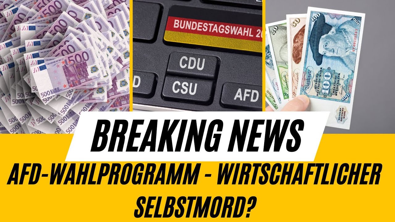 AFD Wahlprogramm für 2025 - Wirtschaftlicher Selbstmord? - YouTube