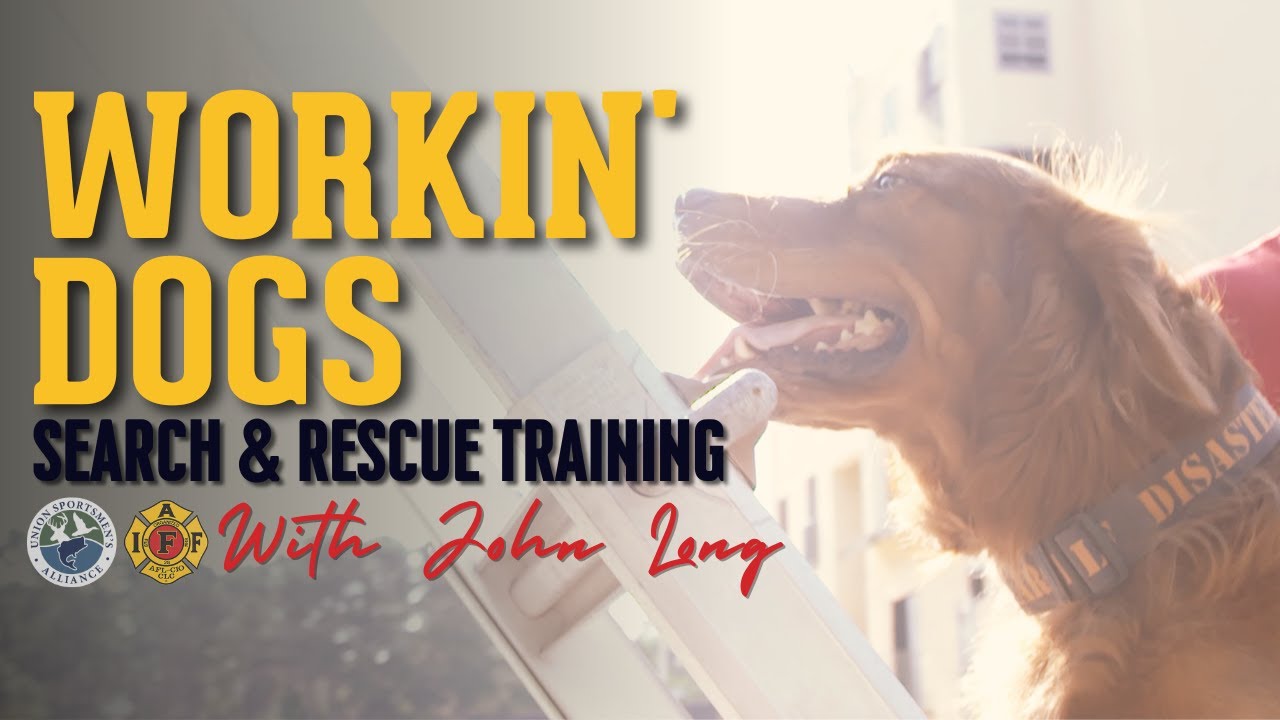 Hero Hounds! Working Dogs Search & Rescue Training w. John Long - IAFF ...
