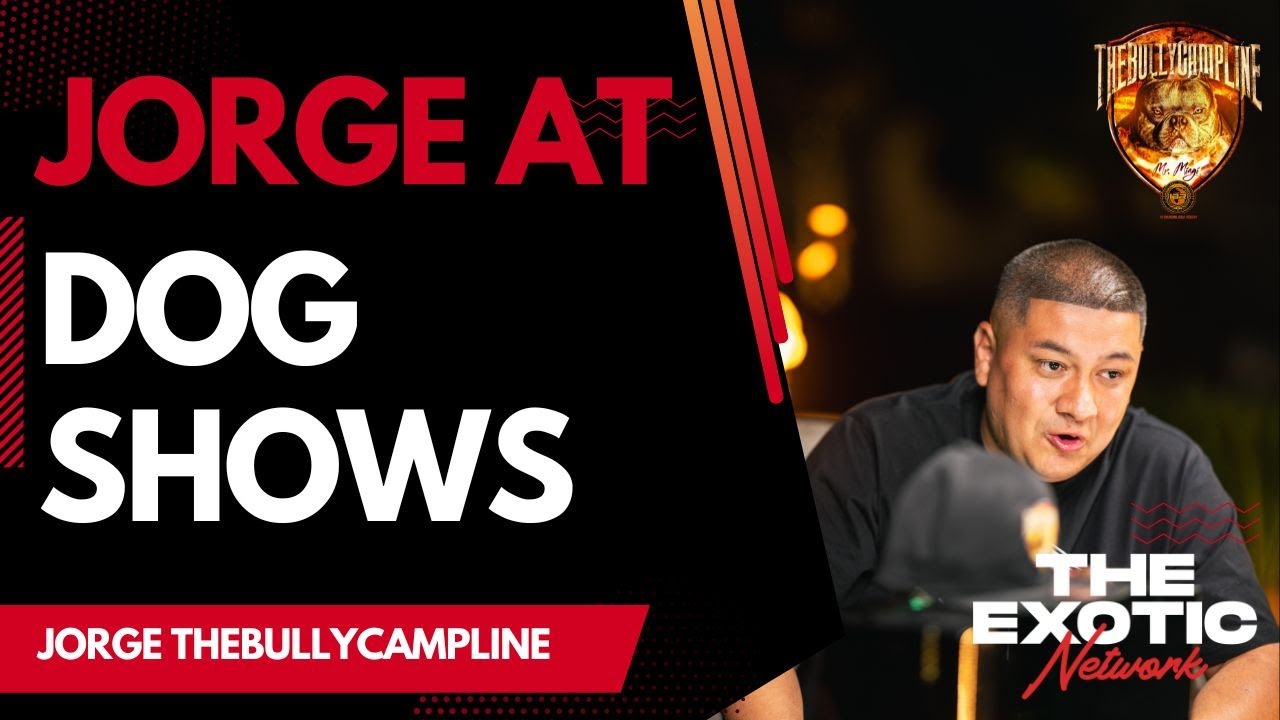 JORGE AT DOG SHOWS - YouTube