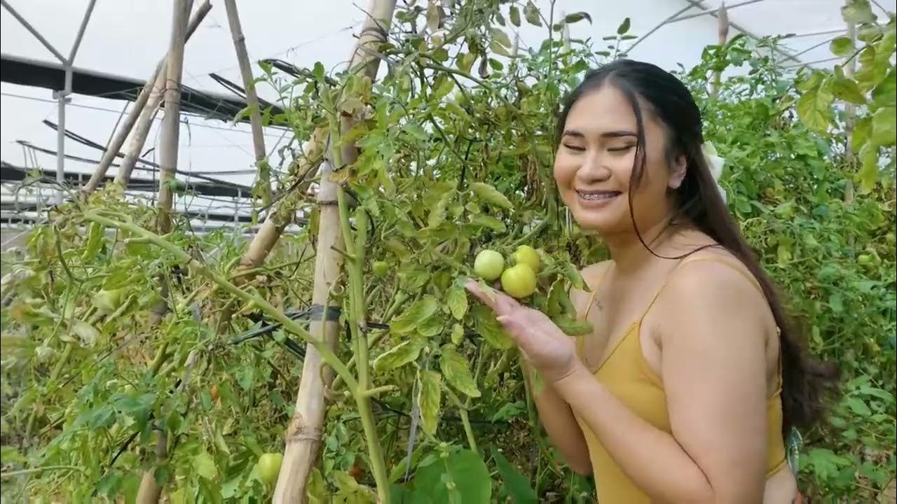 Reyna ng Turismo Cavite Vlog Challenge: Magallanes - YouTube
