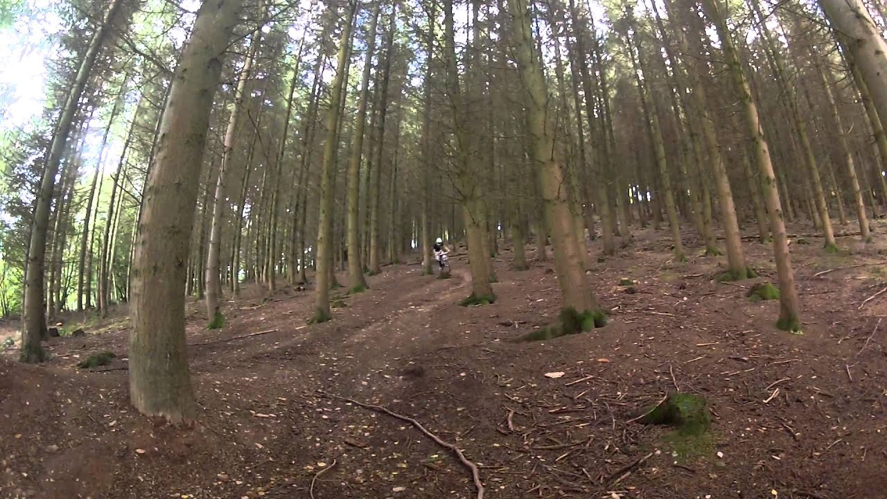 Combe Sydenham Road gap - YouTube