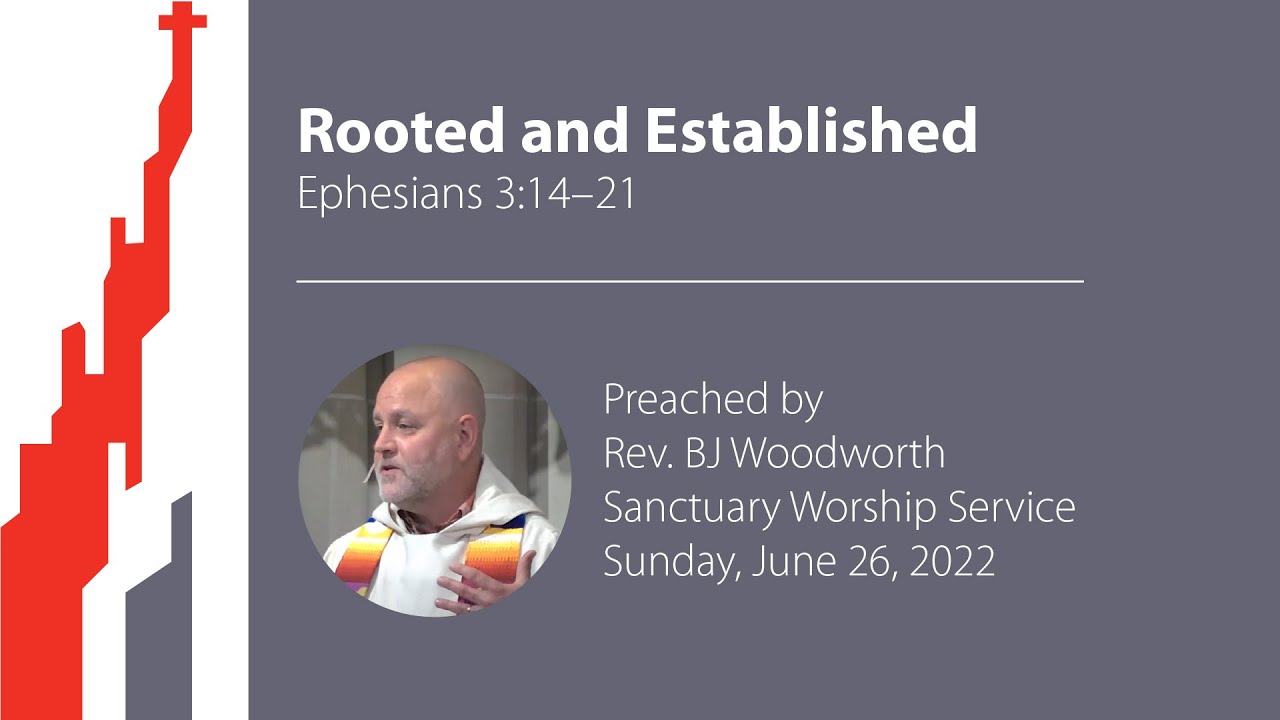 Rooted and Established - YouTube
