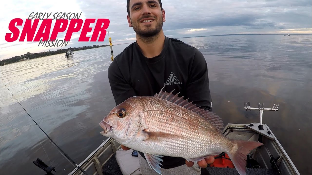 Early Season SNAPPER Fishing Mission - YouTube