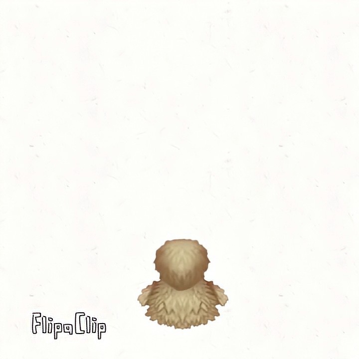 not owl in flipaclip! #animation #notowl #macabreisland #msm # ...