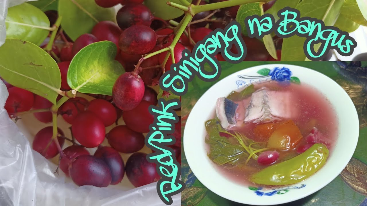 How to cook unique Red/Pink Sinigang na Bangus? - YouTube