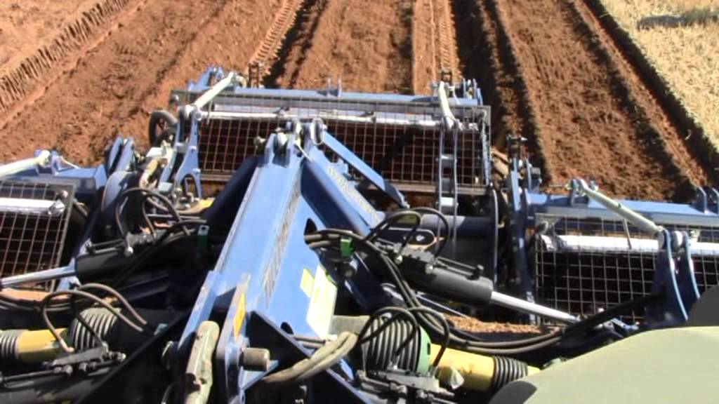 The George Moate Triple Bed Tillerstar - YouTube