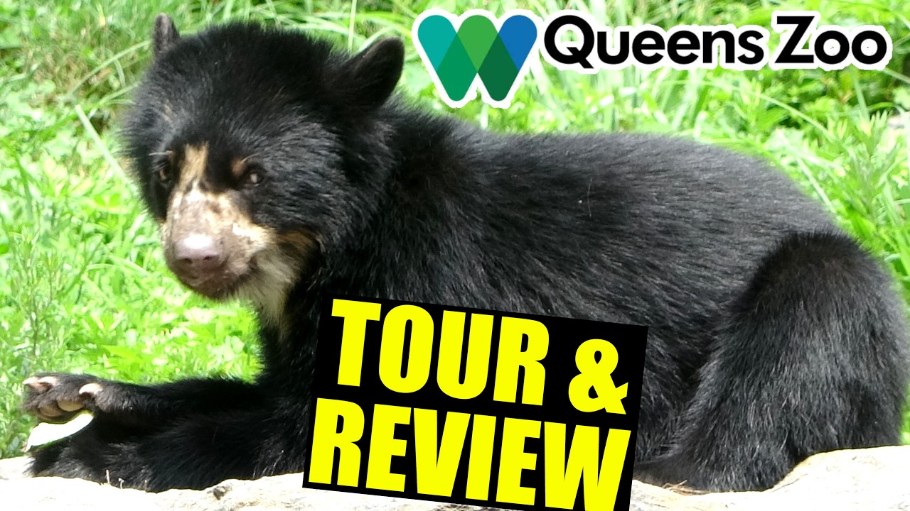 Queens Zoo Tour & Review with The Legend - YouTube