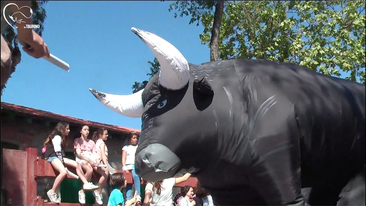 TOROS SOLO PARA NIÑOS Encierro San Fermin 2019 - YouTube