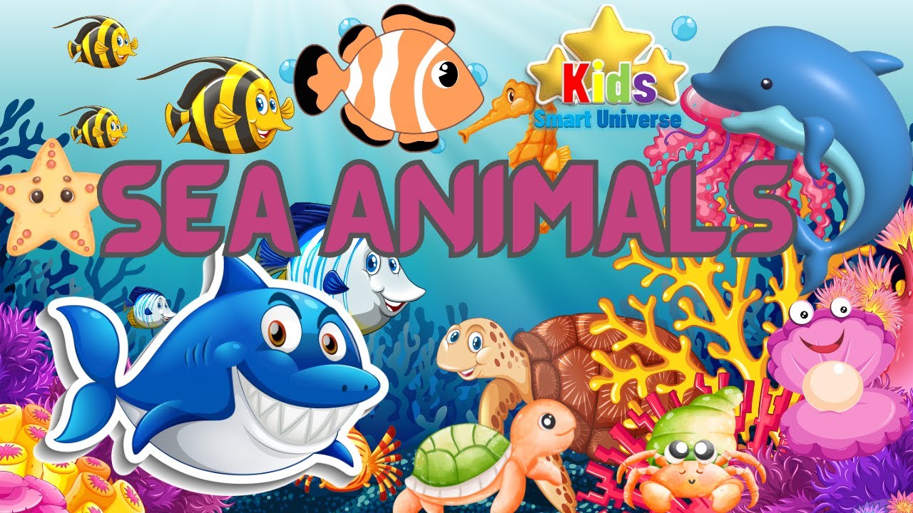 Sea & Ocean Animals | Animals of the Ocean | Learn English for kids ...
