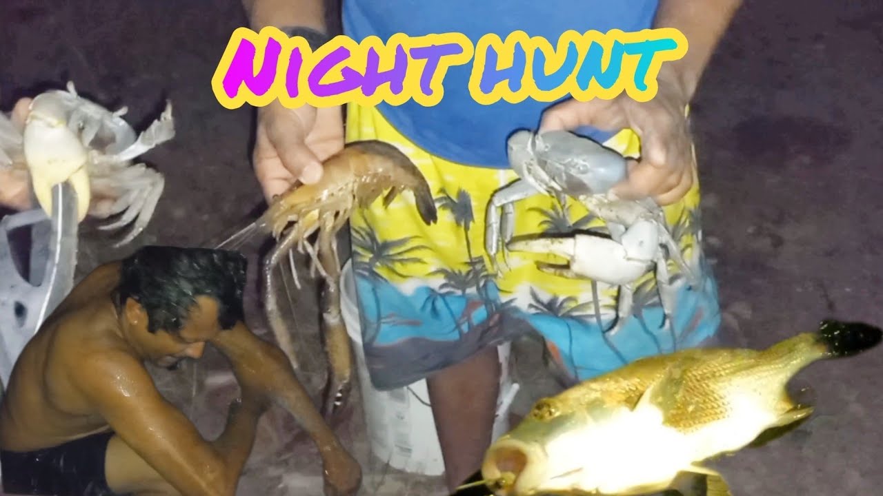 Catching crabs / crayfish & fish in Toco. - YouTube
