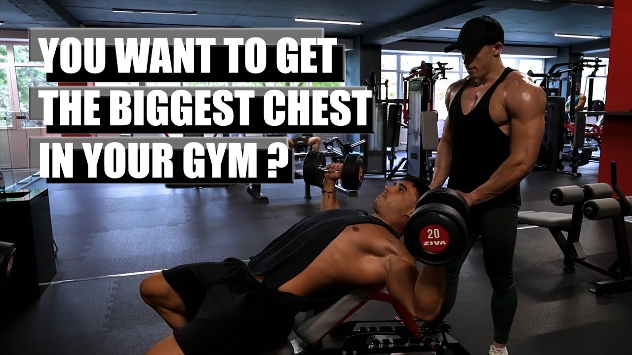 THE BEST CHEST TRAINING TO GET SHREDDED | JAN HORVATH - YouTube
