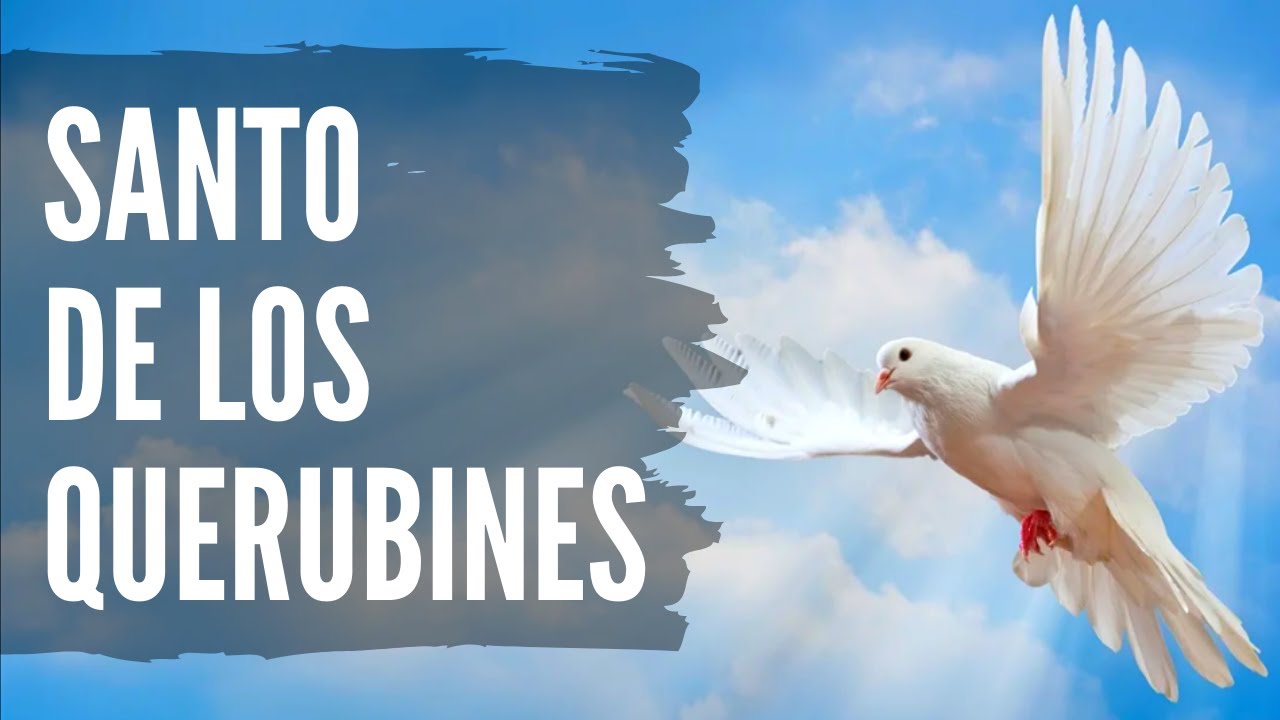 SANTO DE LOS QUERUBINES - LETRA y ACORDES | CANTO para MISA 2020 ...