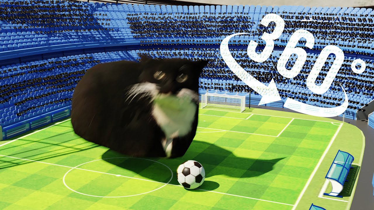 Maxwell The Cat 360° - Football | VR/360° Experience - YouTube