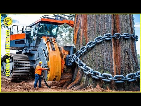 Extreme Dangerous Fastest Big Chainsaw Cutting Tree Machines | Forestry ...