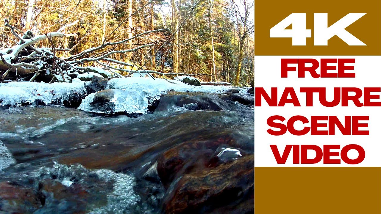 nature 4K 105 👉 Nature Scene Video - YouTube