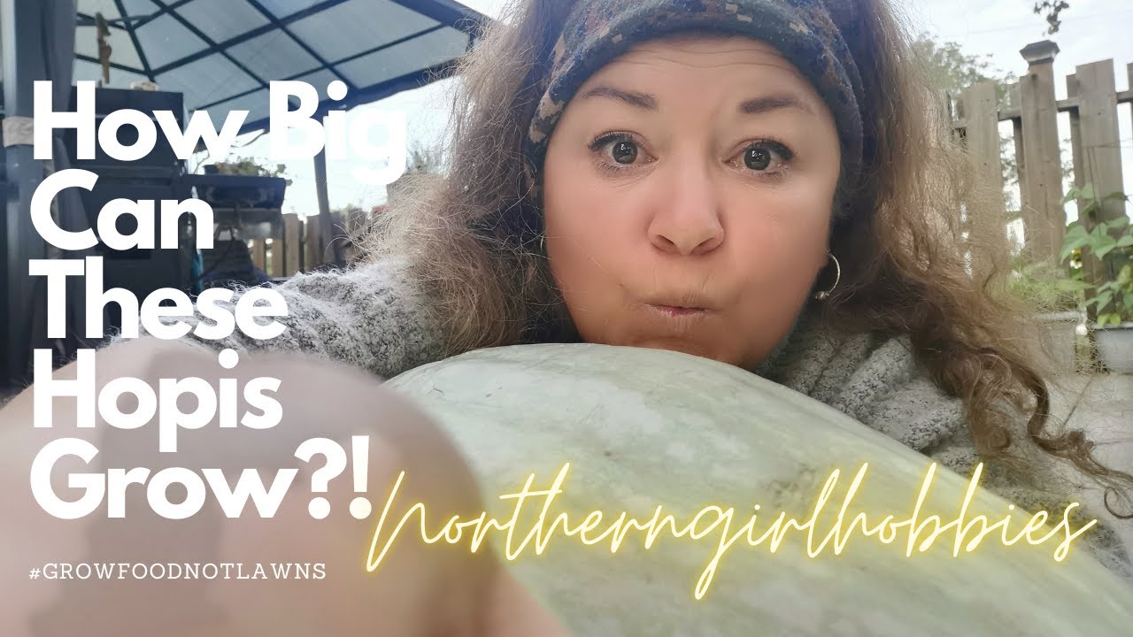 We Grew Some Massive Veg! Not Done Yet! - YouTube