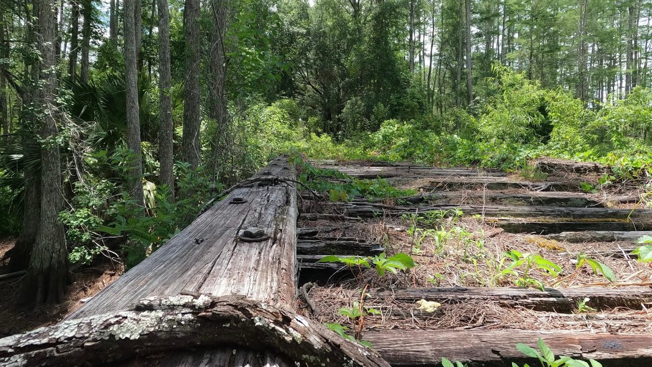 Exploring History in Goethe State Forest - YouTube