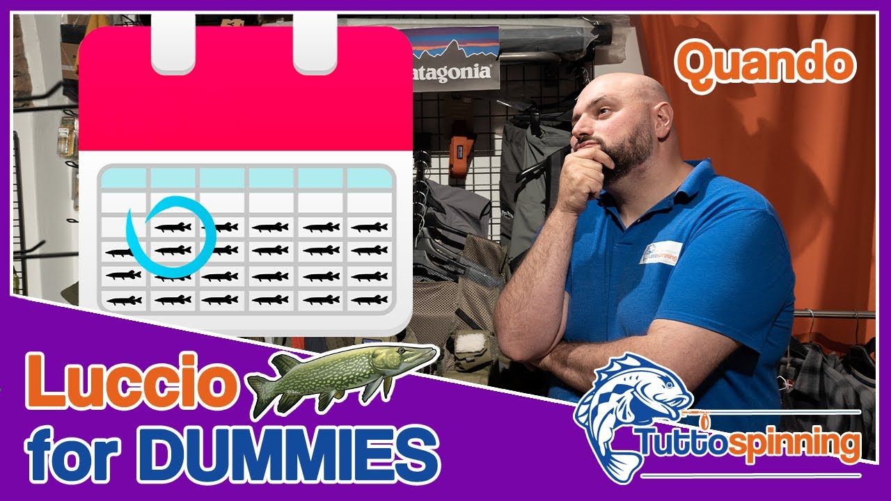 QUANDO pescare il LUCCIO 🐊 Luccio for Dummies - YouTube