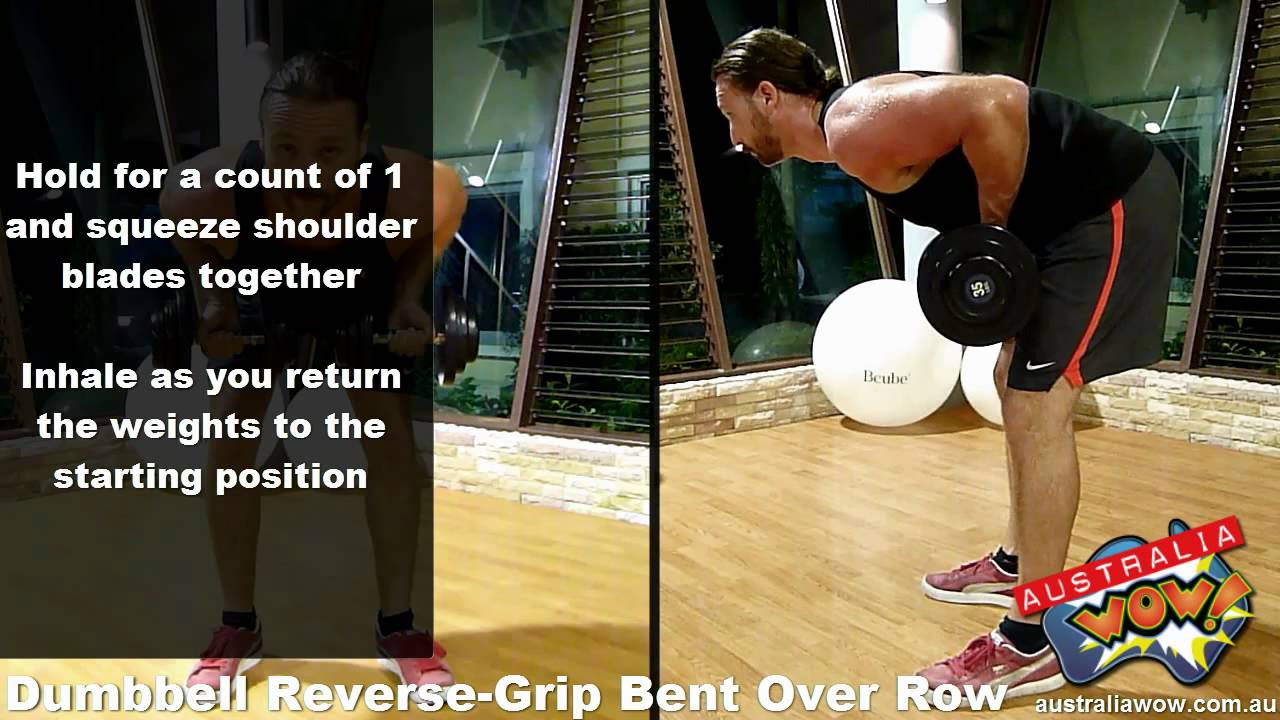 Dumbbell Reverse Grip Bent Over Row - YouTube