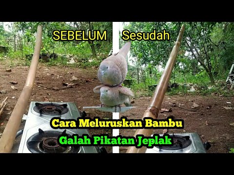 cara meluruskan bambu galah pikat jeplak - YouTube