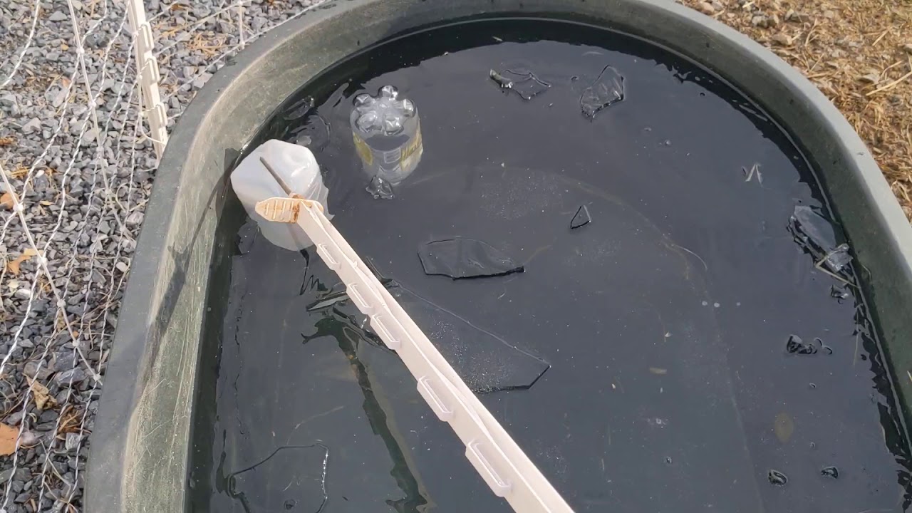 Do Milk Jugs with Salt Water Keep Your Trough Water from Freezing ...