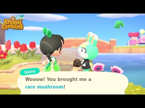 All Villager Personalities React to RARE MUSHROOMS | Animal Crossing ...