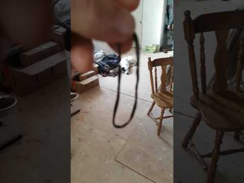 Fatty 420 dab by Dani