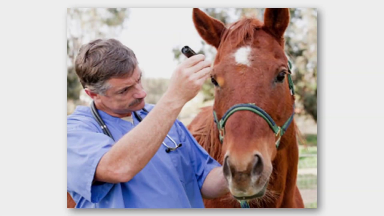 Beth Ramsay - Rochelle Taught Me - YouTube