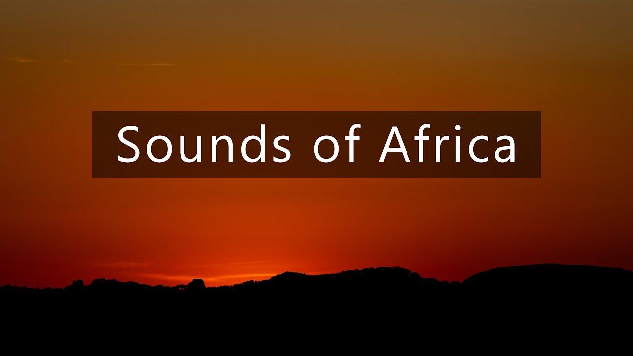 Dark night in the African savanna - YouTube