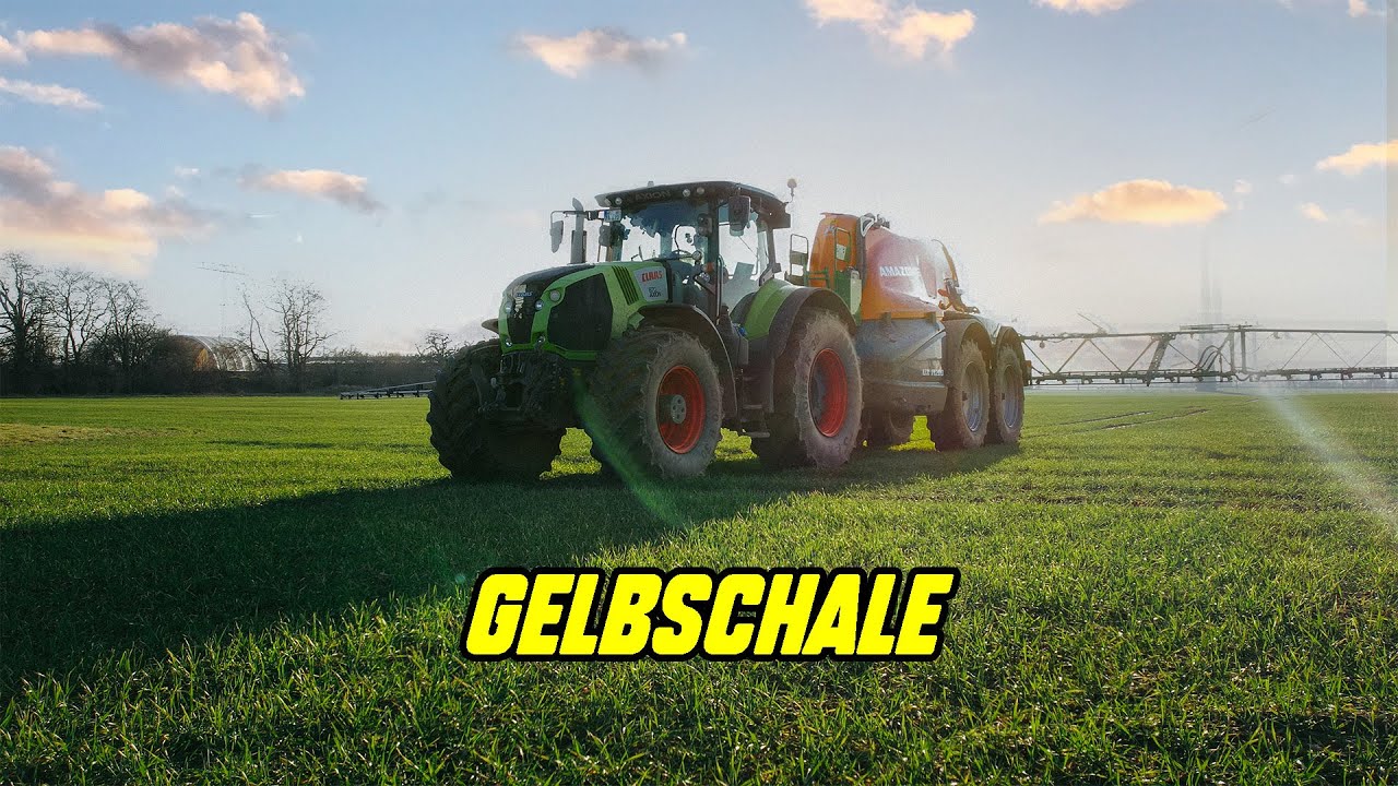 Düngung in Raps & Weizen | Magic Trap Gelbschale | Farming Week - YouTube
