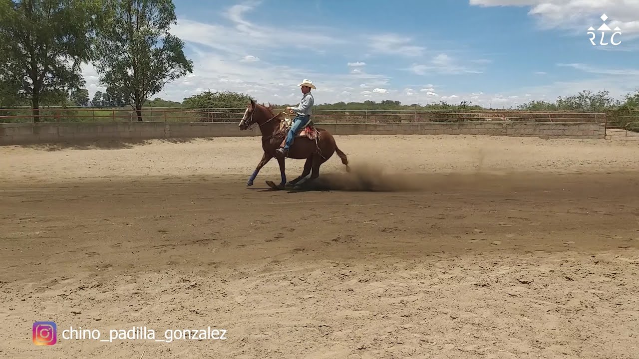 C18P2 EL CAMINO AL FUTURITY VIP - Juan Manuel "Chino" Padilla - YouTube