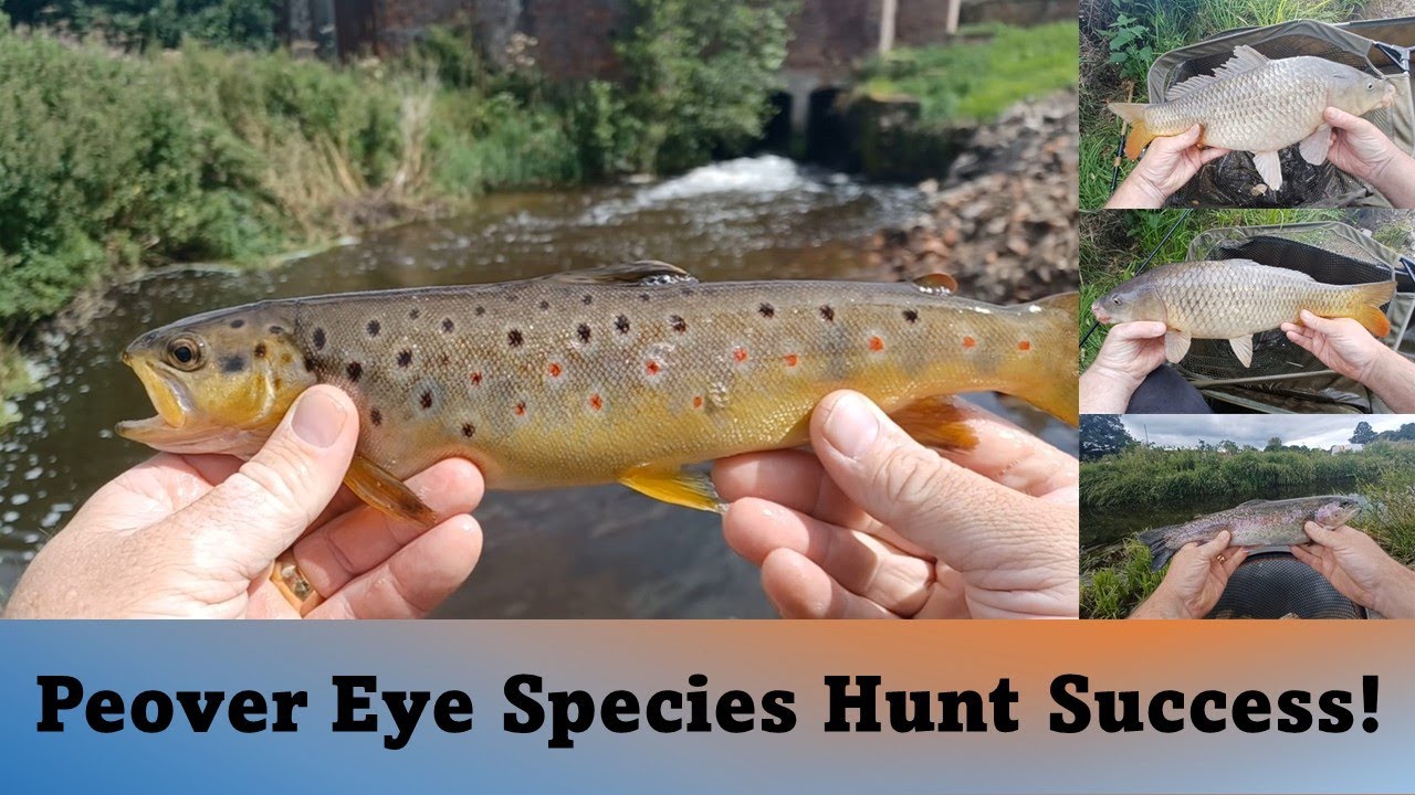 Peover Eye Species Hunt Success! - YouTube