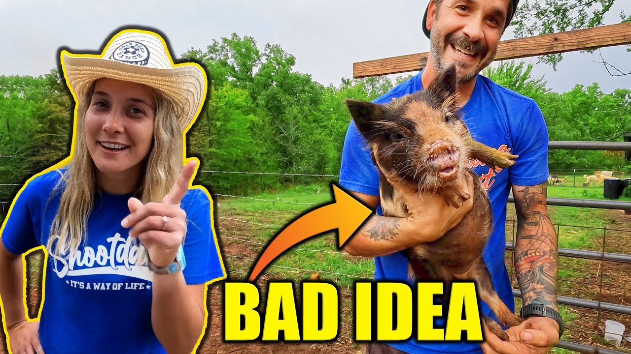 This Was A Bad Idea She Didnt Like That Youtube 1217