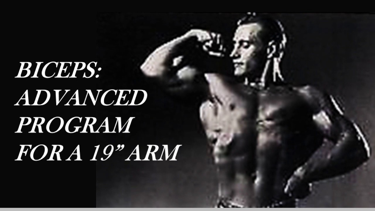 ADVANCED SILVER ERA PROGRAM FOR 19 INCH ARMS! HOW ALAN STEPHAN DID IT ...