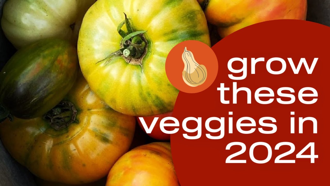 Bloom and Groom: Must-Grow Veggies & Flowers for 2024! 🌼🍅 - YouTube
