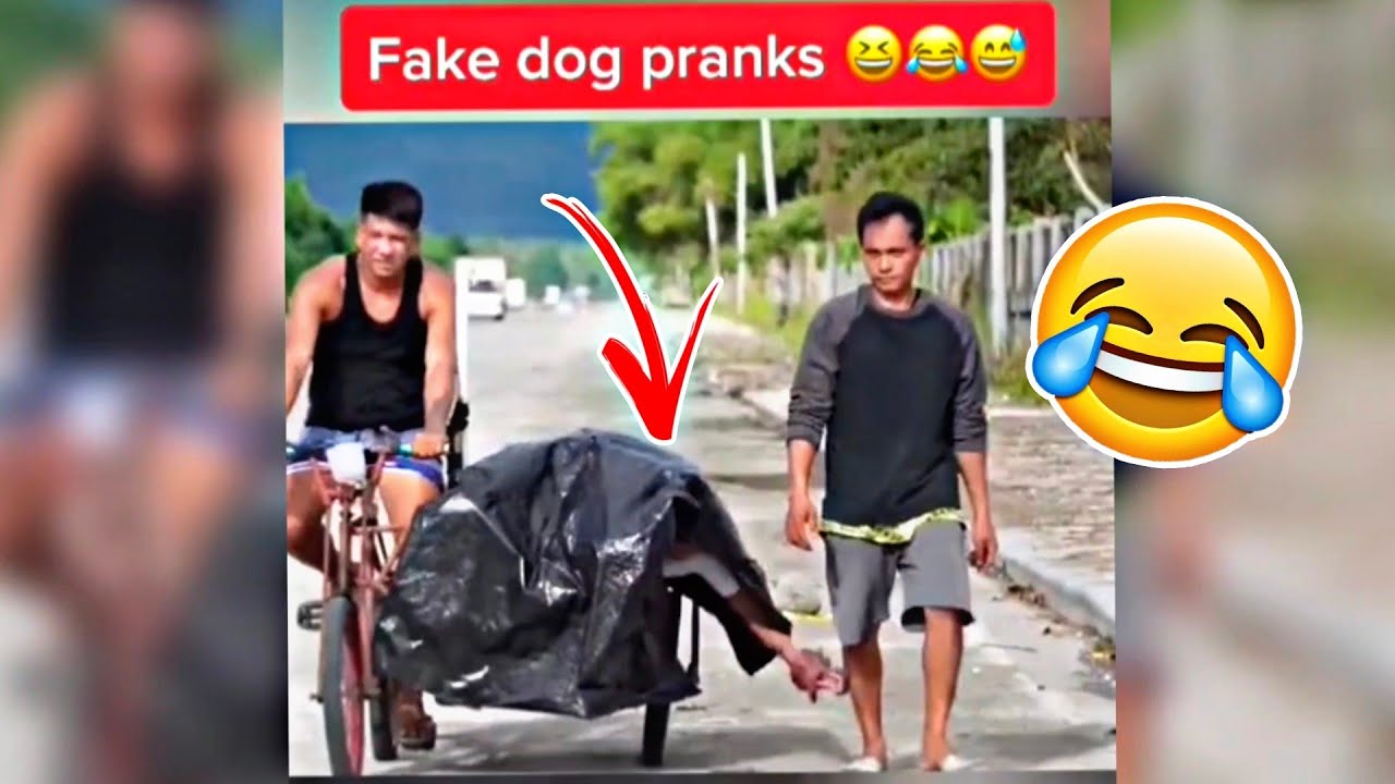 Best Fake Animals Prank 😂😂 || Try Not To Laugh Challenge || funny hub ...