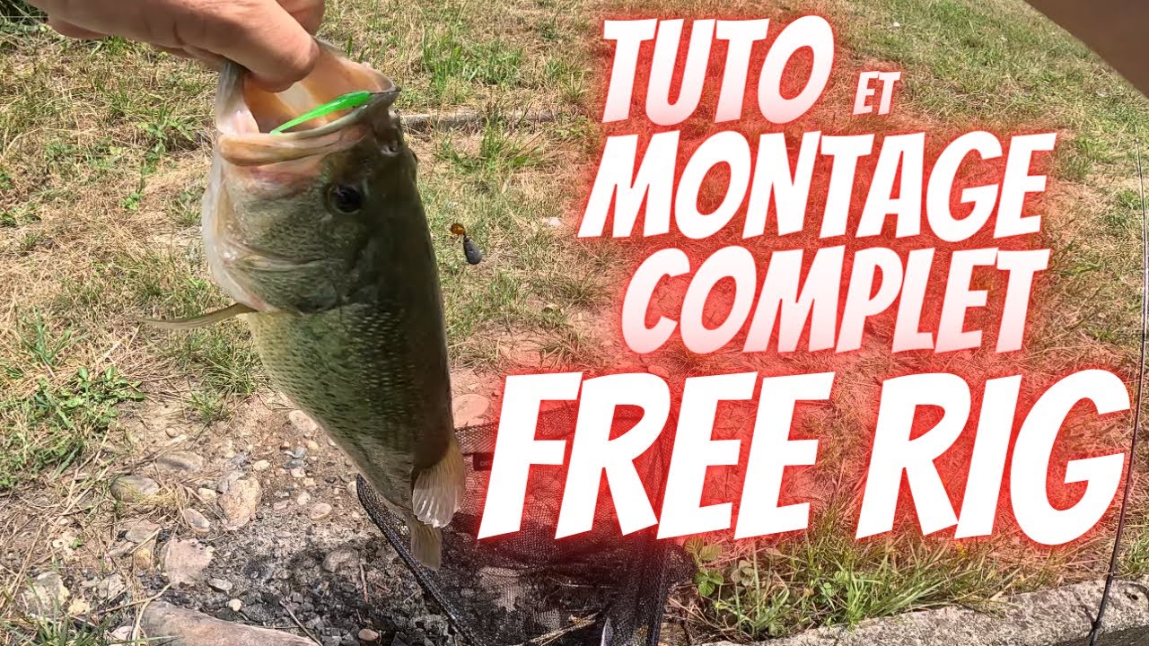 TUTO : FREE RIG ( montage , animations et poissons ) - YouTube