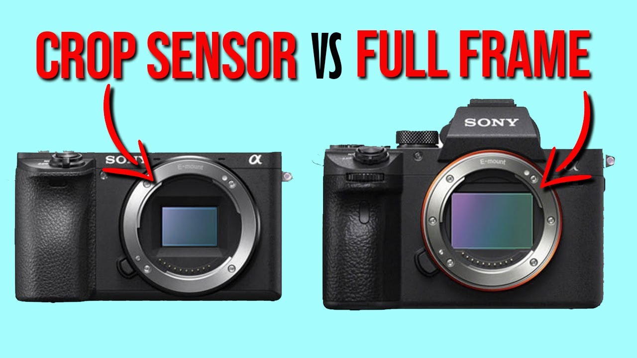 FULL FRAME Vs CROP SENSOR | Can you really tell the difference? - YouTube