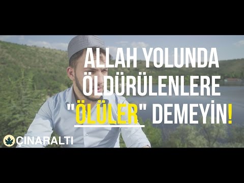 Bakara Suresi | Abdullah Altun Tilaveti