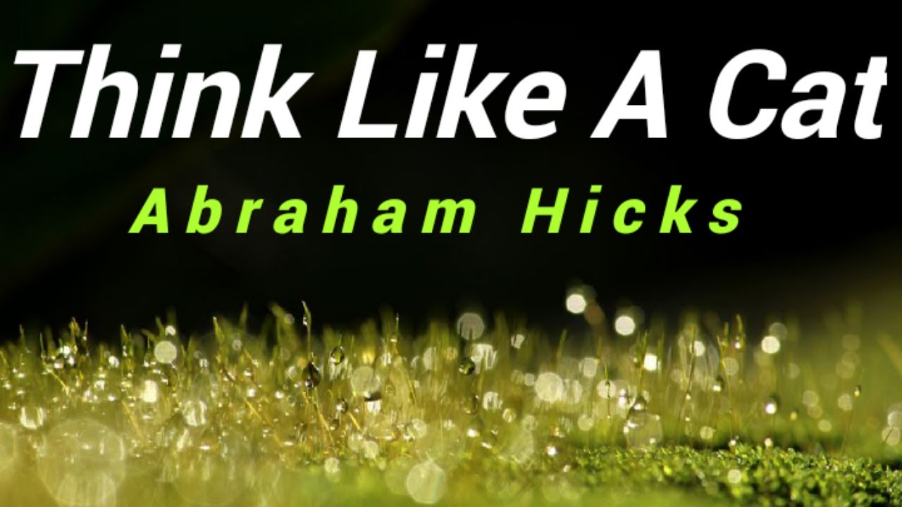 Think Like A Cat || Abraham Hicks || - YouTube