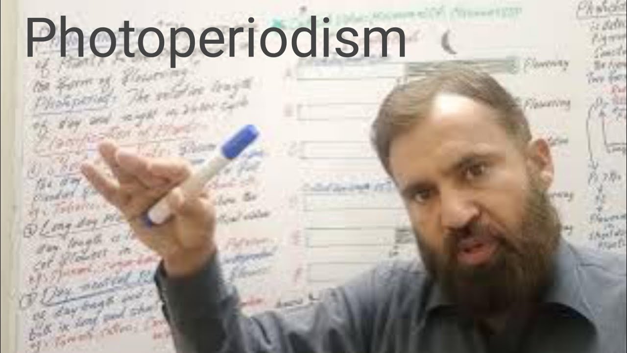 Photoperiodism | Photoperiod | Classification of plants | Short days ...
