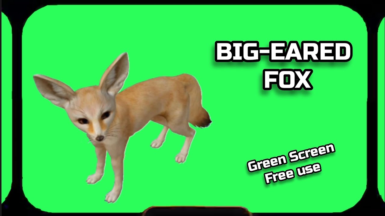 FOX video Green Screen footage. CHROMAKEY ANIMATION on a green screen ...