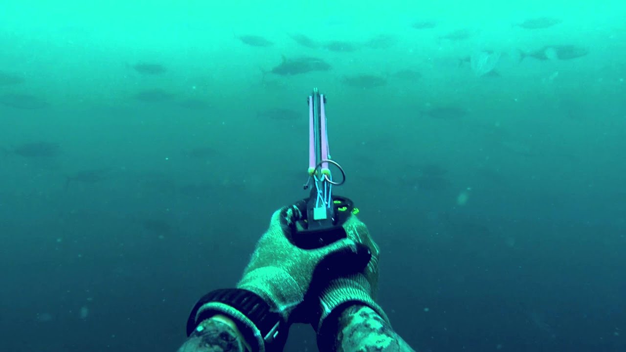 Two fish One Shot. Spearfishing - YouTube