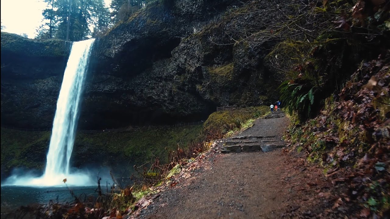 Where they filmed the movie Twilight! Silver Falls State Park - Scenic ...