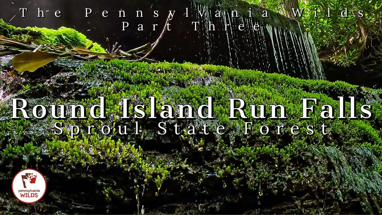 Pennsylvania’s Most Isolated Waterfall? | Journey to Round Island Run ...