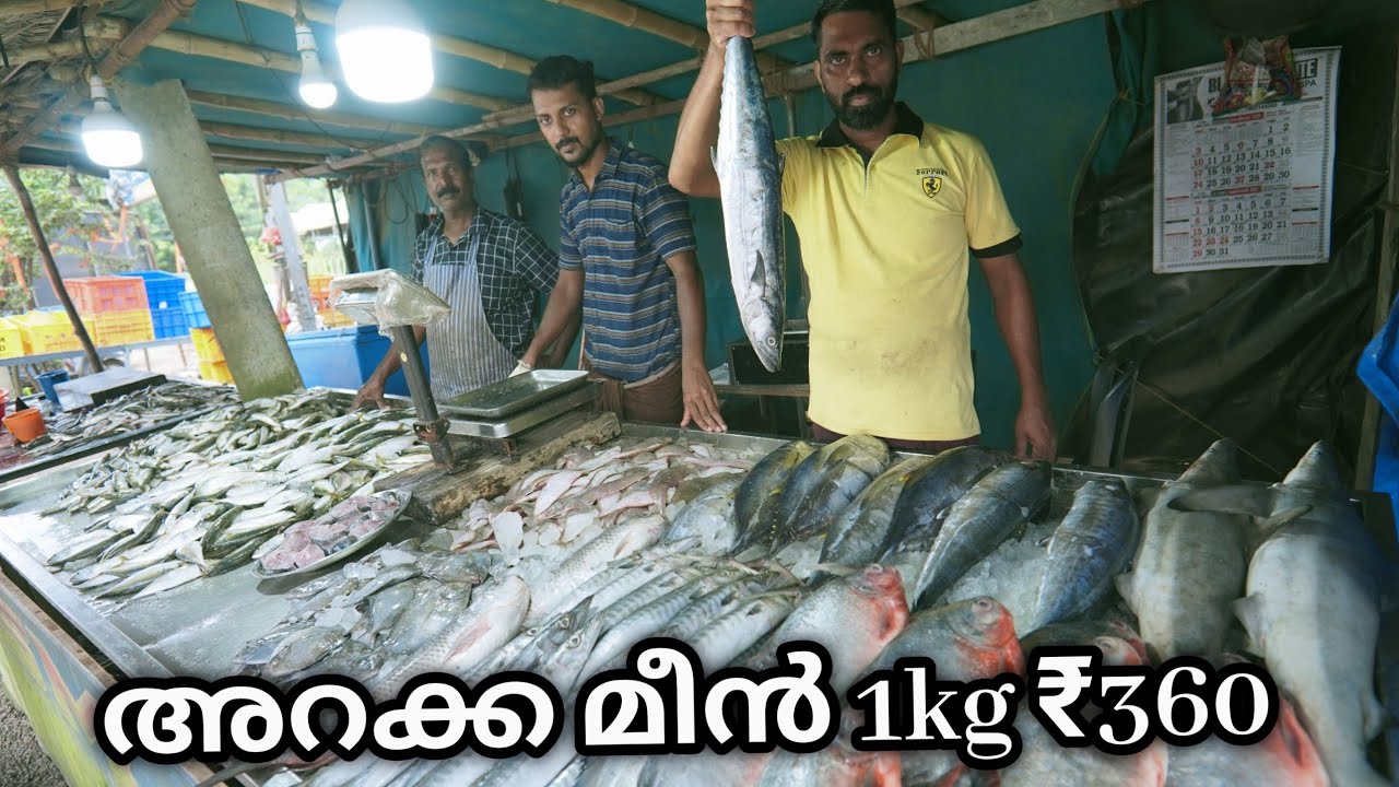 അയക്കറ മീൻ 1kg ₹360 | budget price fish market in Kerala | Fish cutting ...