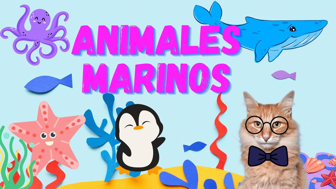Los animales del mar (con vídeos) 🐬🐳🐙 🐢 - YouTube